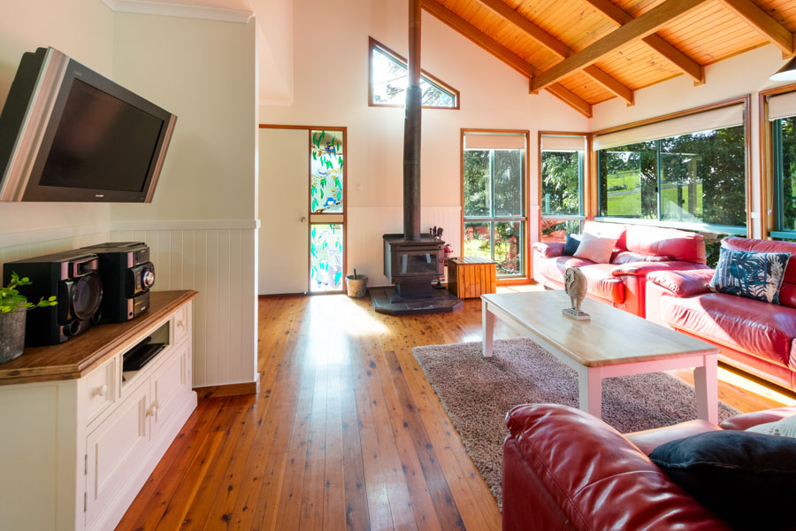 Currawong | Bunya Mountains