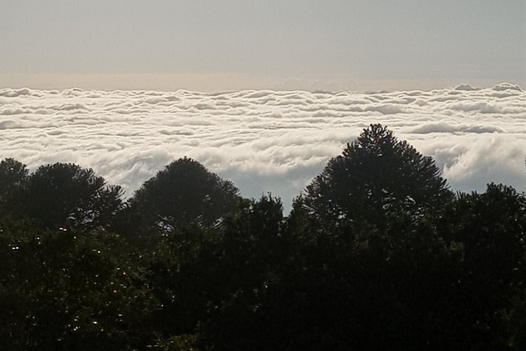Endless Views | Bunya Mountains
