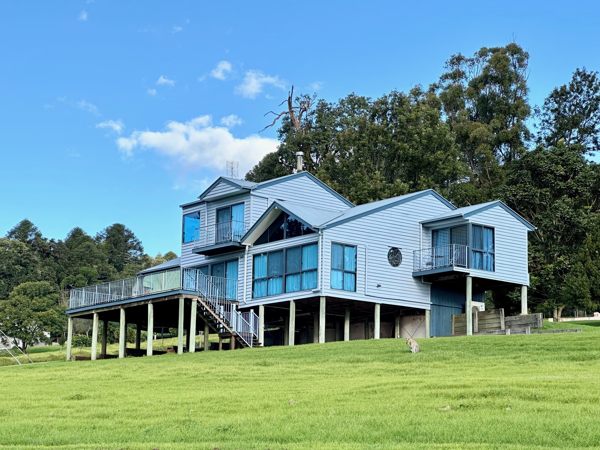 Bunya Dreaming | Bunya Mountains