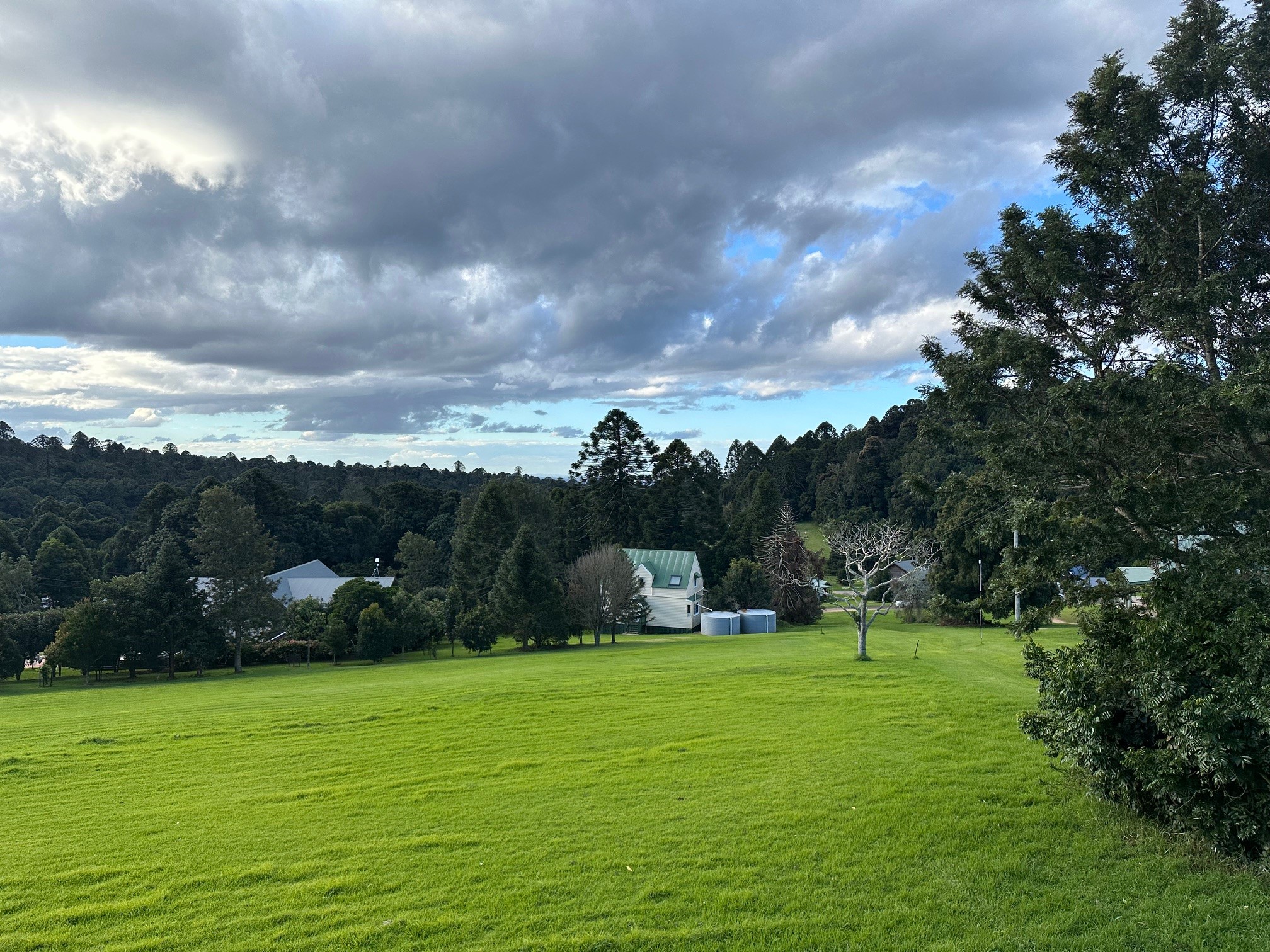 Bunya Dreaming | Bunya Mountains