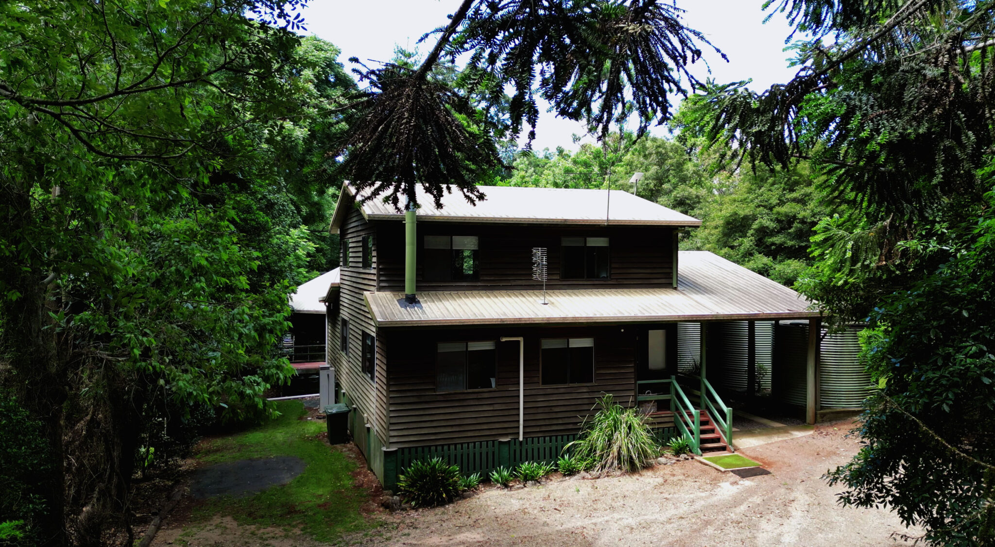 Bunya Mist @Rices | Bunya Mountains